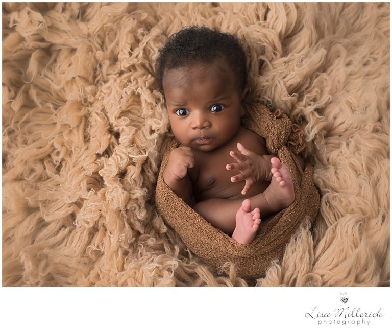 Black newborn baby pictures_06 - Newborn, Baby & Family Photographer ...